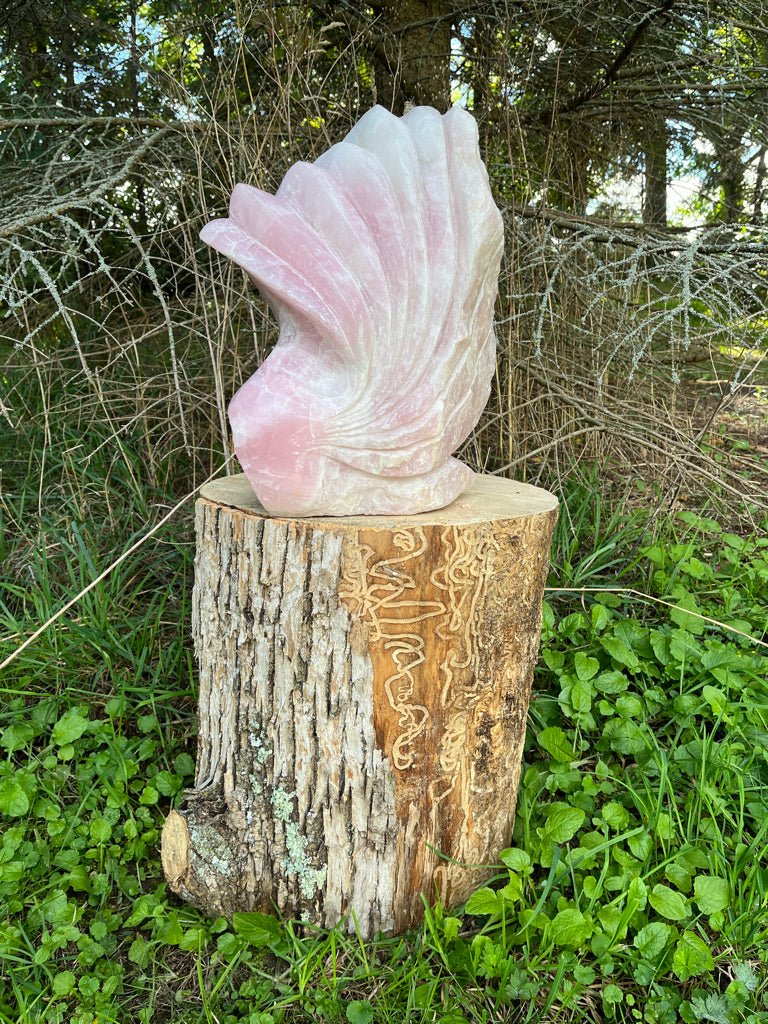 Lifted 2 — Artfest Ontario